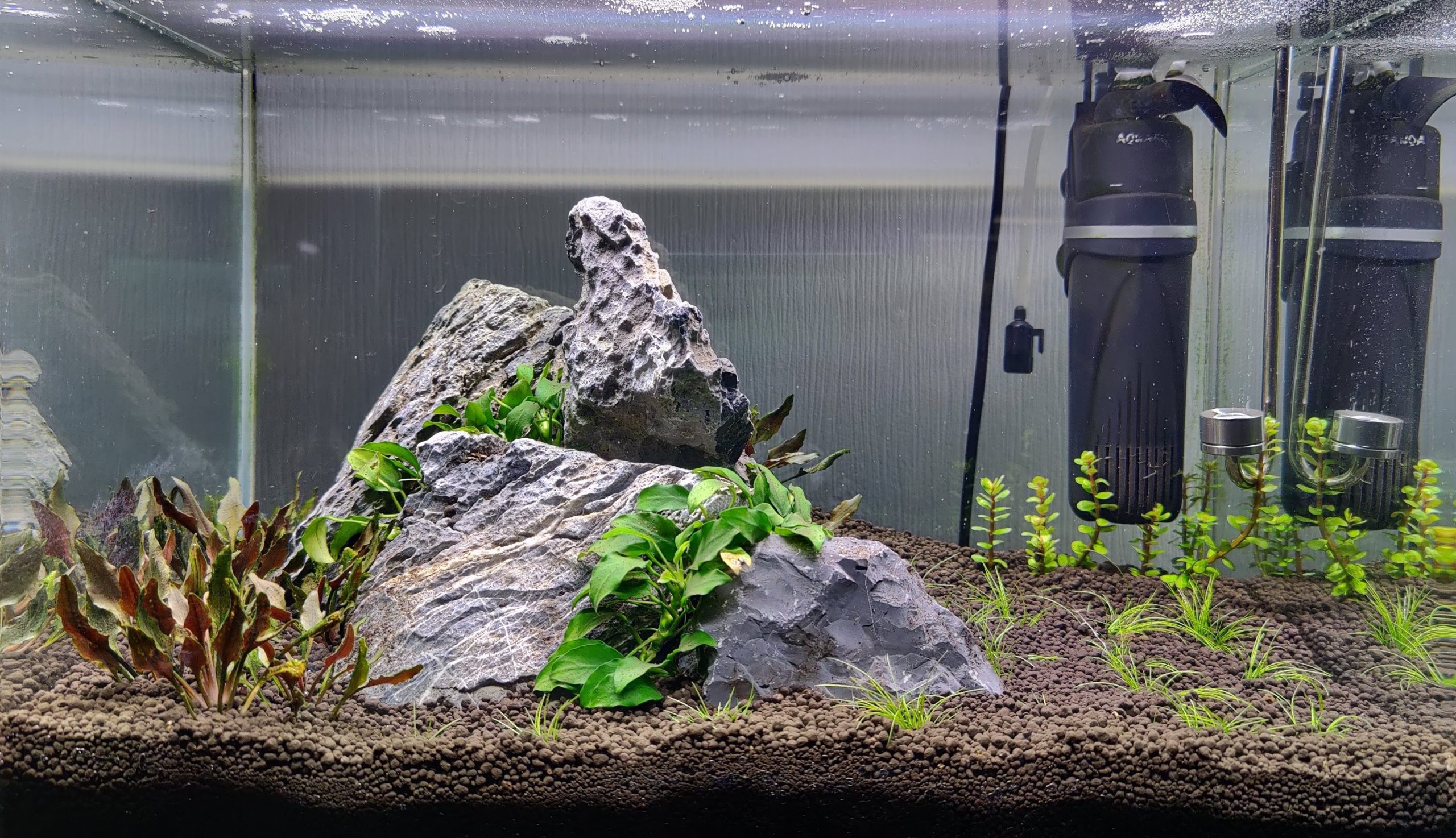 Aquascaping Layout 8 – Shrimp-Addicted